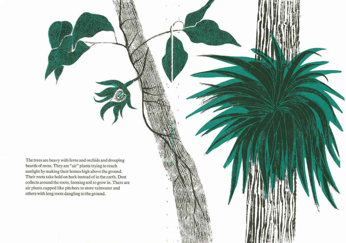 Jungle – CMYK Bookstore