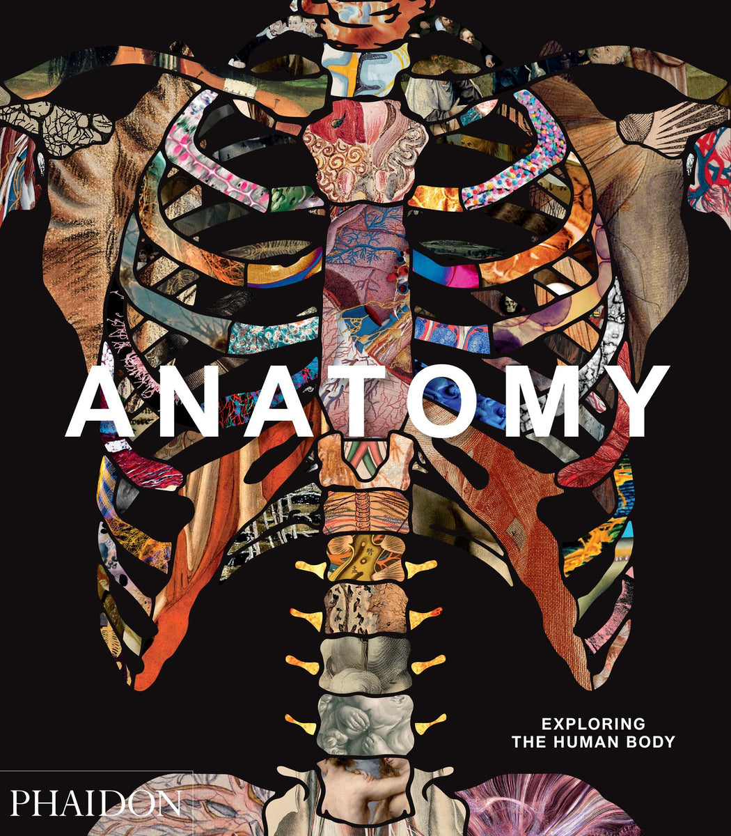 Anatomy: Exploring the Human Body – CMYK Bookstore