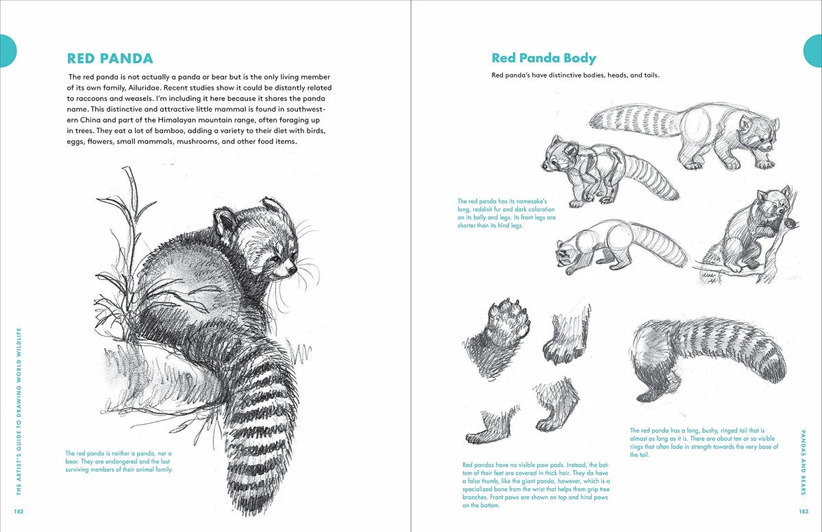 Artist'S Guide To Drawing World Wildlife : Essential Step-By-Step Less ...